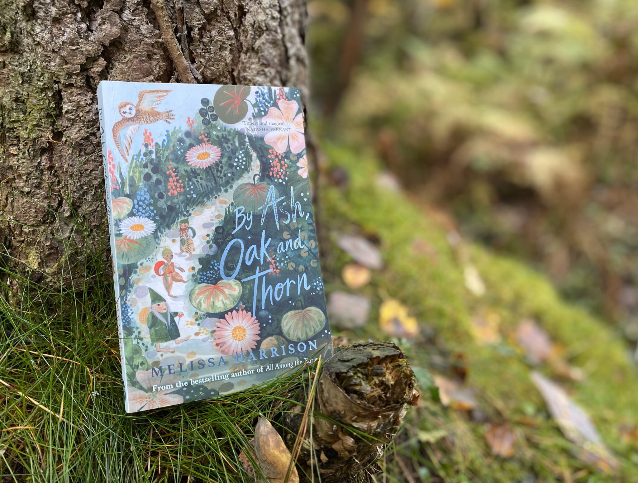 The Orange Tree Diary - Tanker om natur, livet og kreativitet